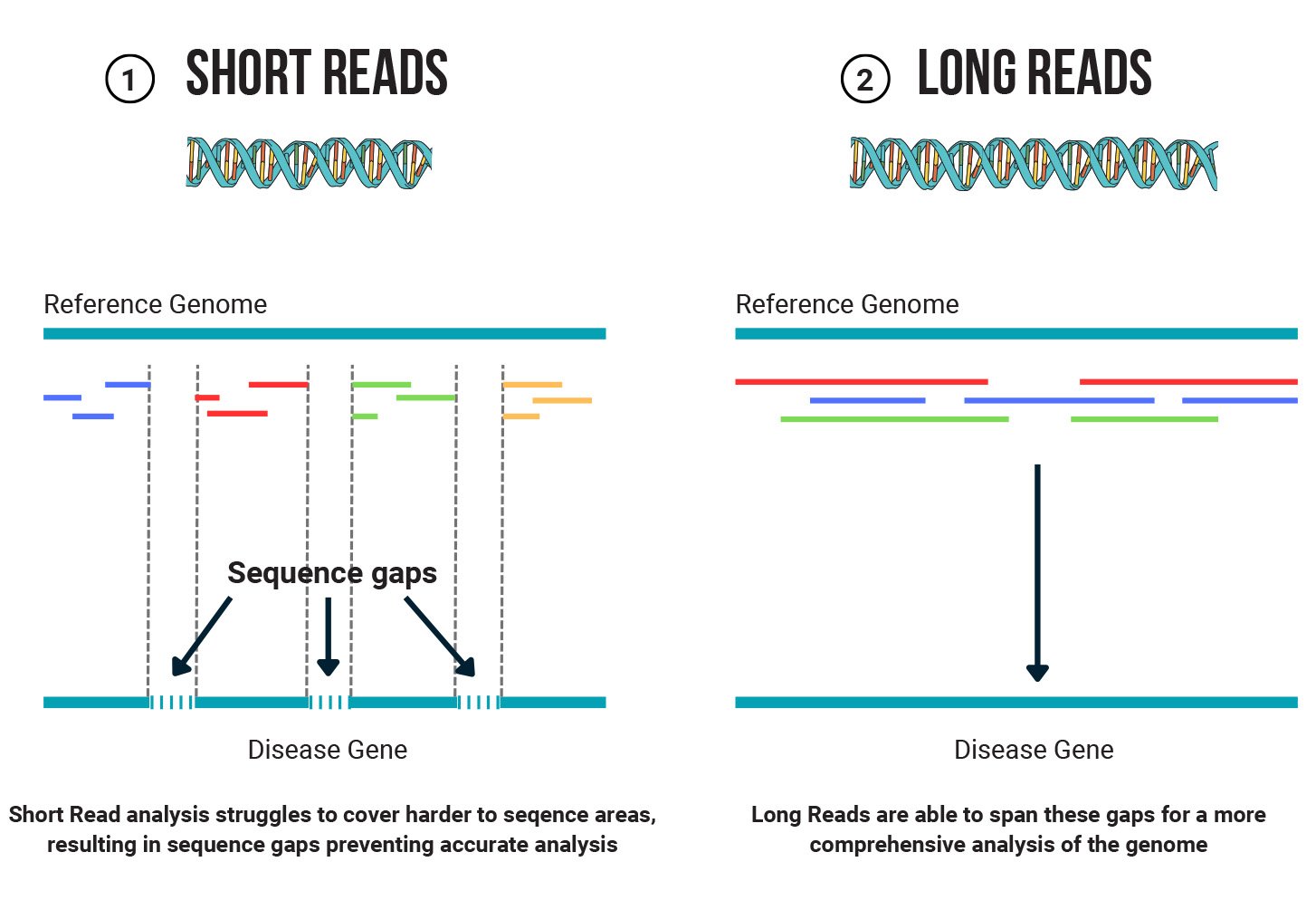 Introducing Long Read Sequencing | Isohelix