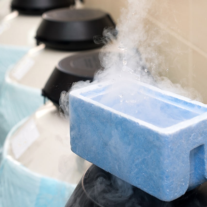 Ensuring DNA Sample Stability for Reliable Genomic Data